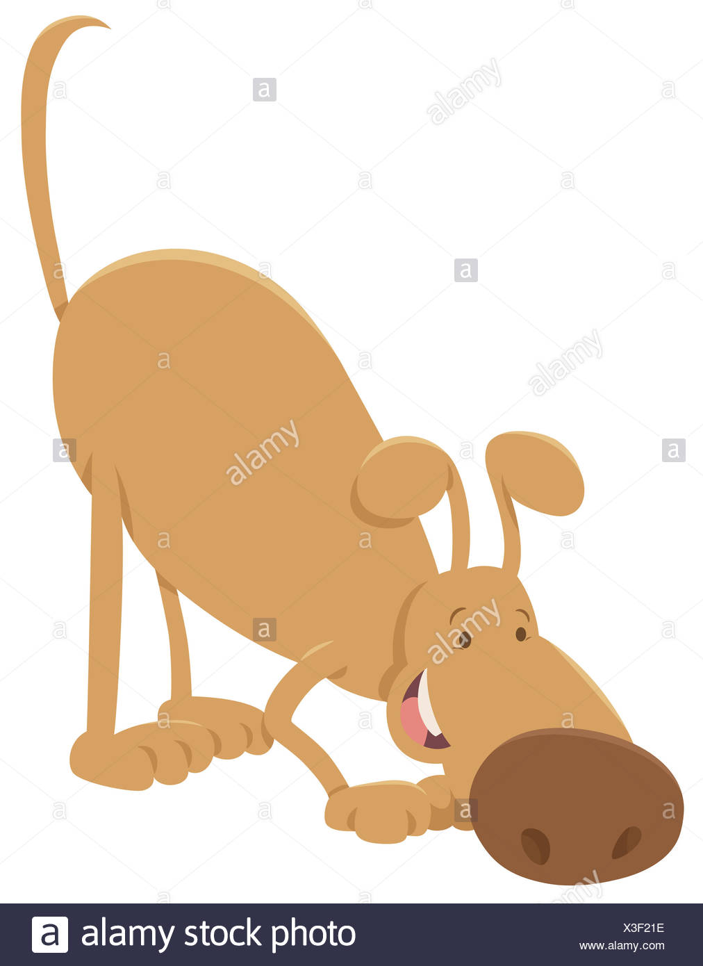 Funny Sniffing High Resolution Stock Photography and Images - Alamy