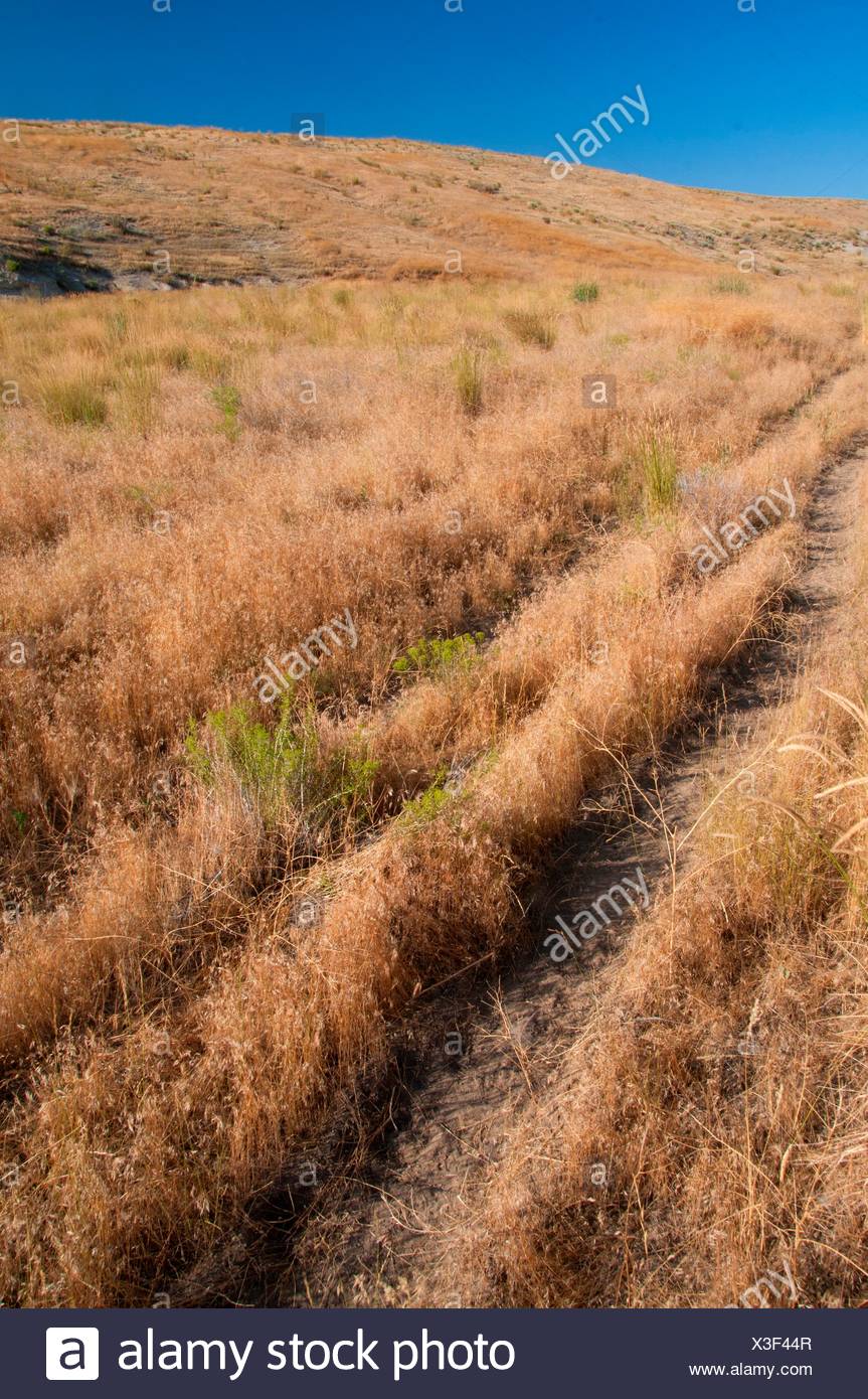Ruts Oregon Trail High Resolution Stock Photography and Images - Alamy