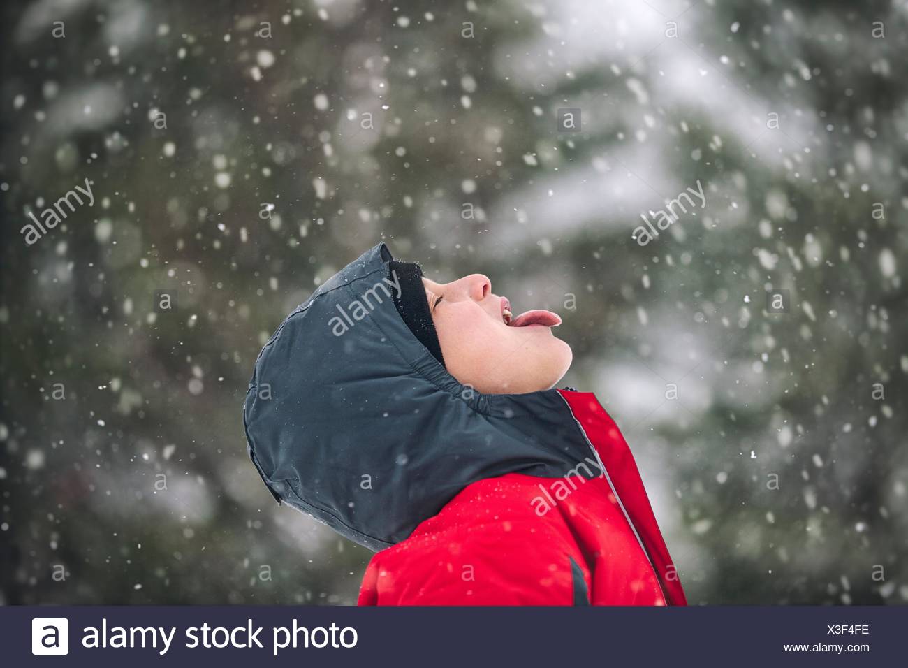 Boy Sticking Out His Tongue High Resolution Stock Photography and ...