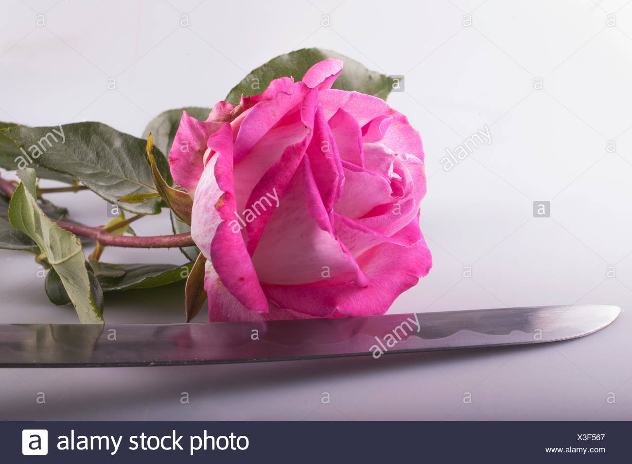 Japanese Katana Blade High Resolution Stock Photography and Images - Alamy