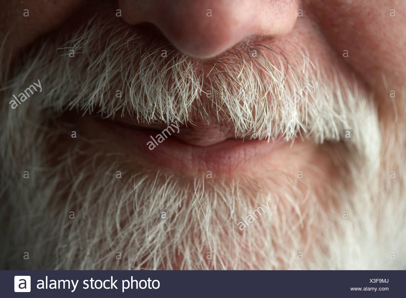 White Moustache High Resolution Stock Photography and Images - Alamy