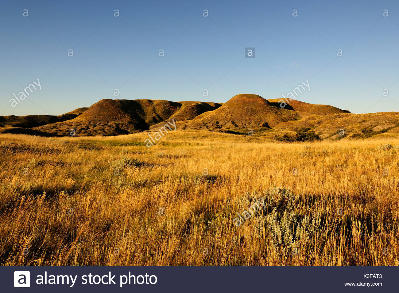 Prairie Evening High Resolution Stock Photography and Images - Alamy
