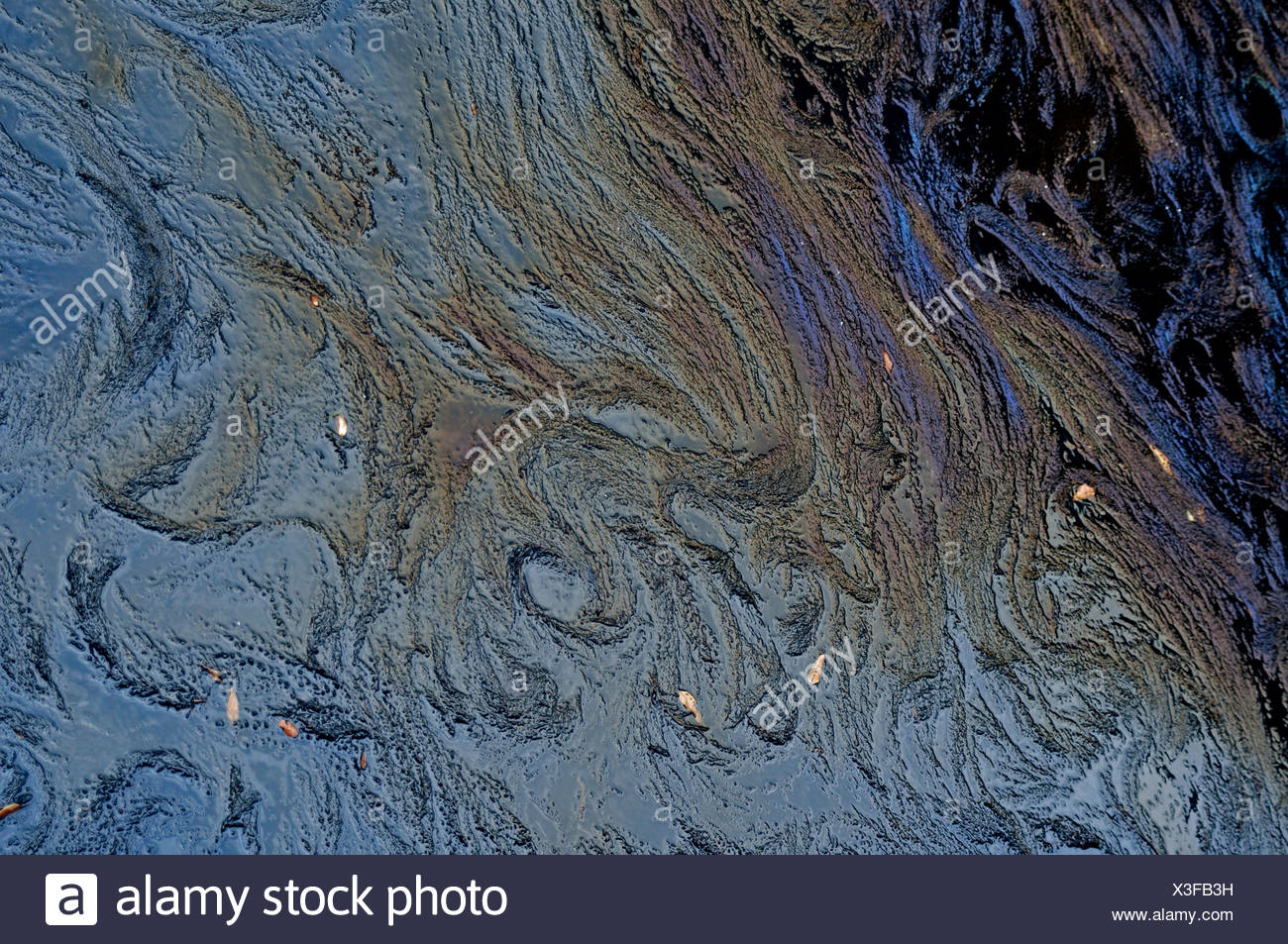 Venice Italy Canal Dirty High Resolution Stock Photography and Images ...
