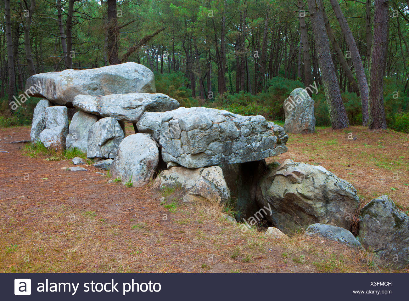 Menhir Stones High Resolution Stock Photography and Images - Alamy