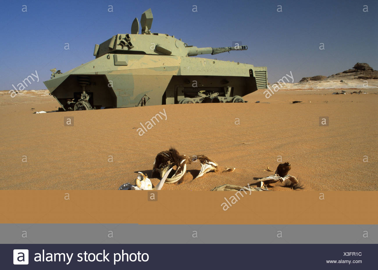 Desert Warfare High Resolution Stock Photography and Images - Alamy