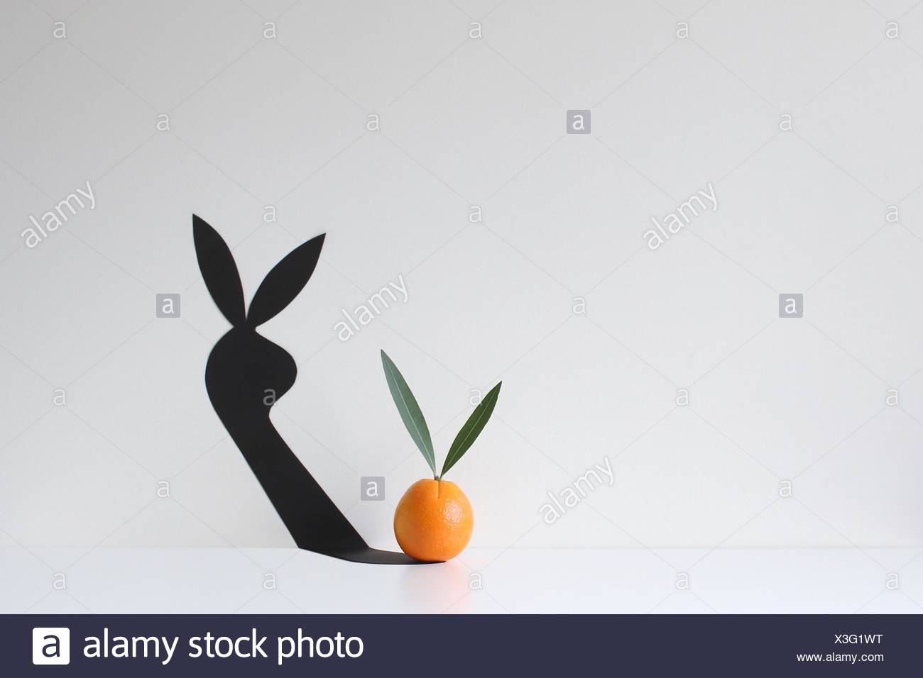 Shadow Rabbit High Resolution Stock Photography and Images - Alamy