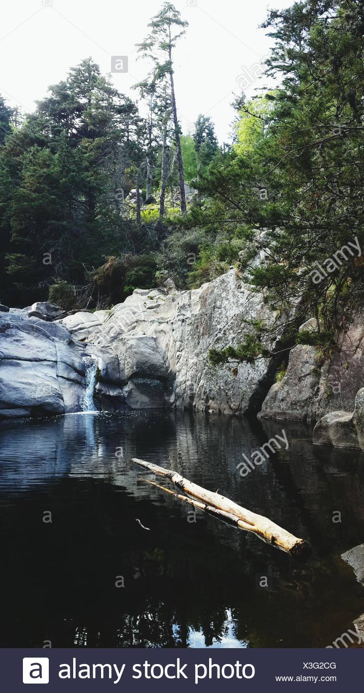 Log Floating High Resolution Stock Photography and Images - Alamy