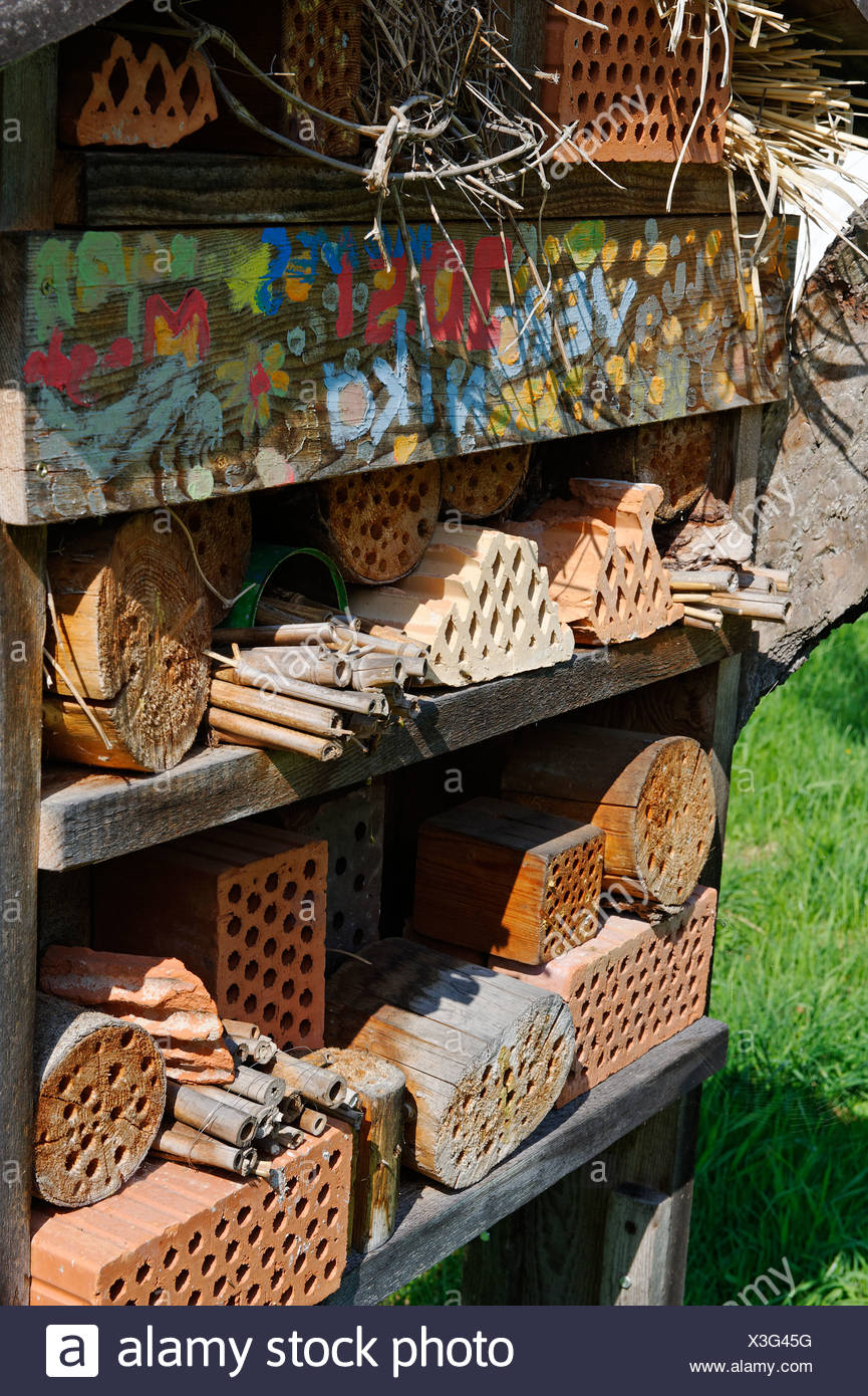 Hotel Of Insects High Resolution Stock Photography and Images - Alamy