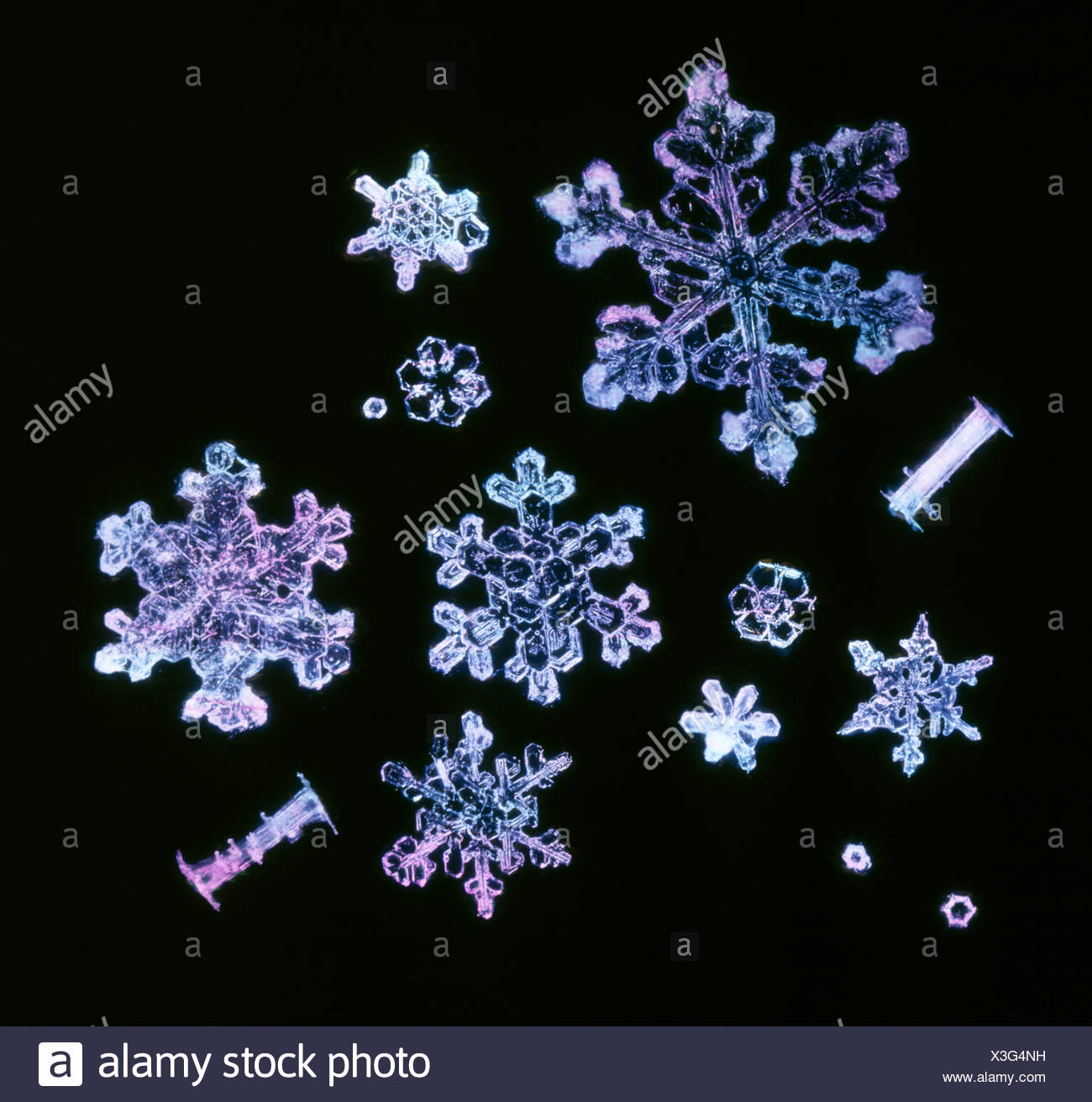Dendrite Micrograph High Resolution Stock Photography and Images - Alamy