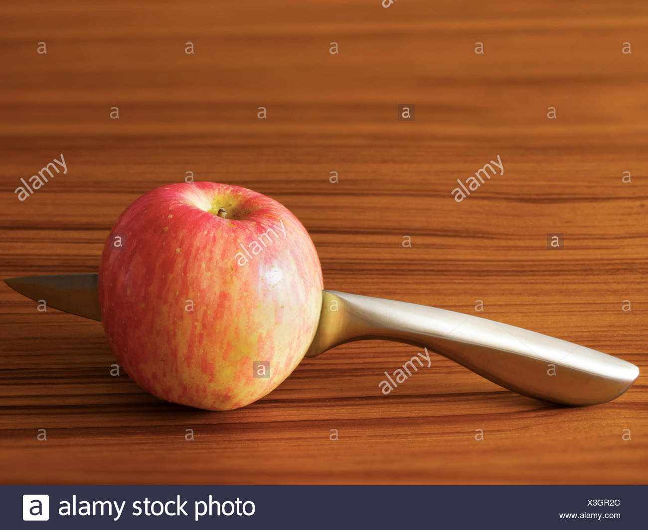 Guys what are the Other two names??? : r/steelydancirclejerk