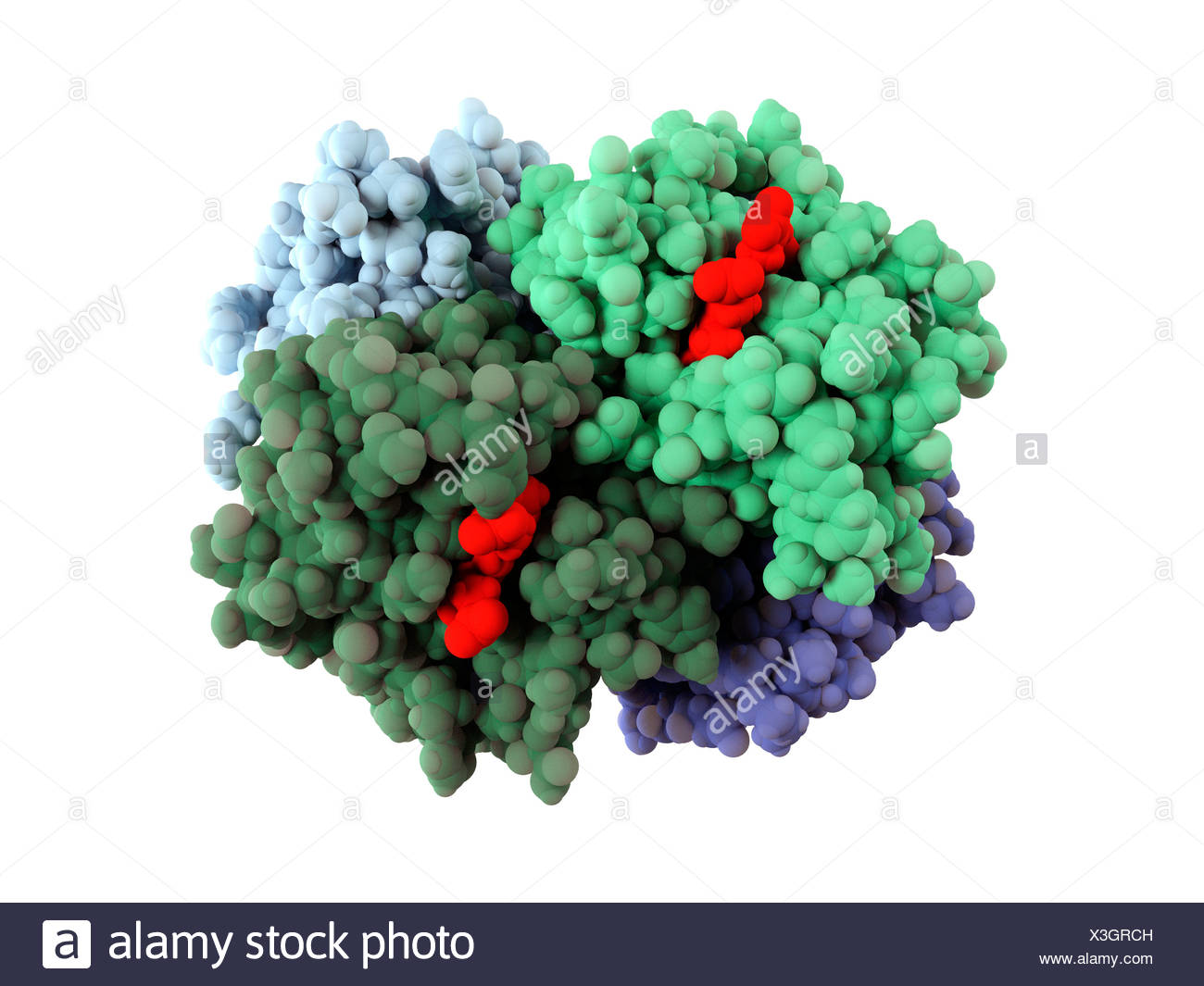 Haemoglobin High Resolution Stock Photography and Images - Alamy