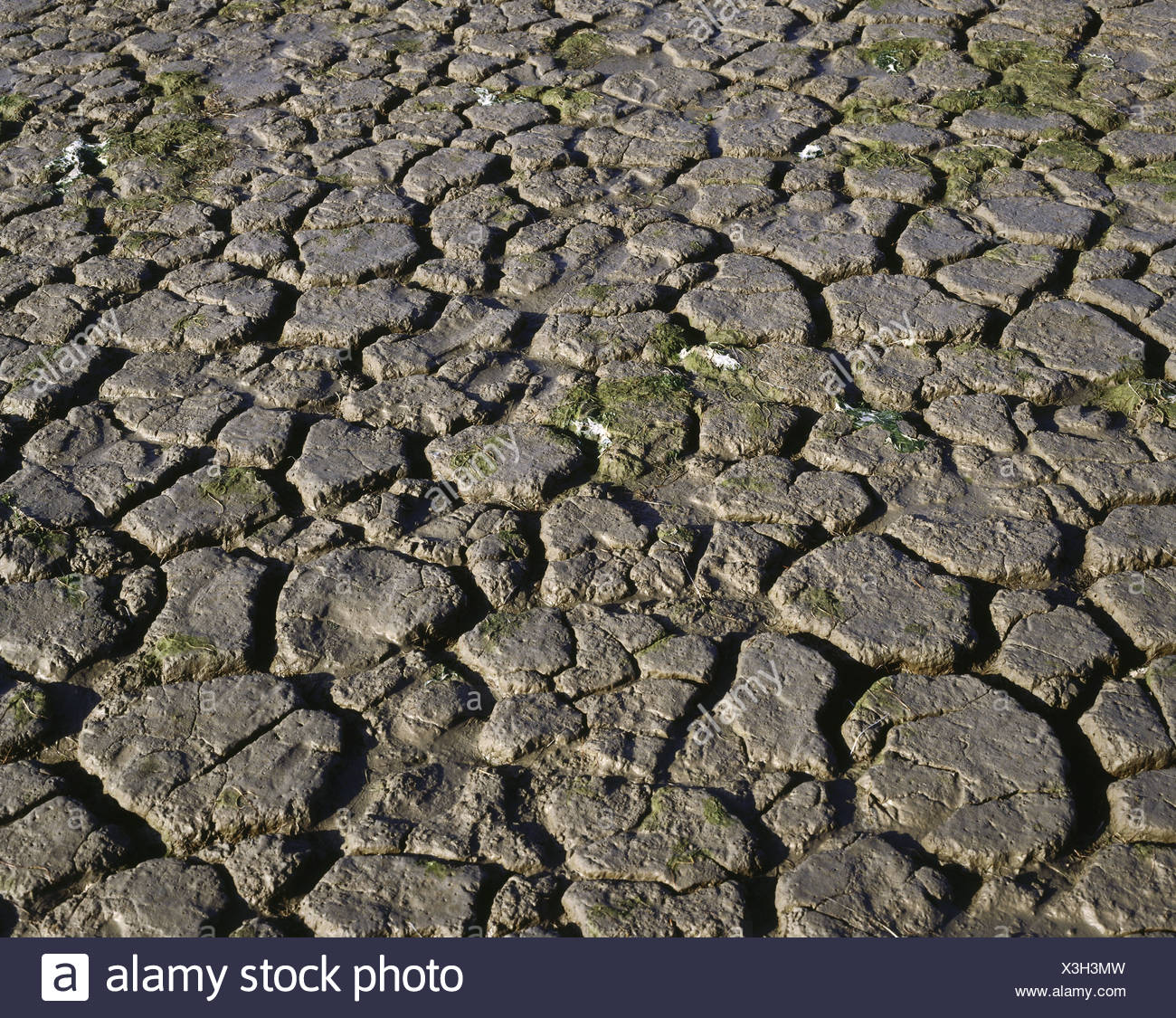 Alluvium Stock Photos & Alluvium Stock Images - Alamy