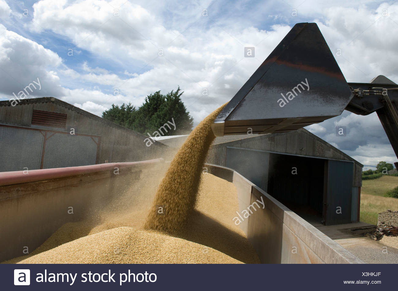 Loading Grain High Resolution Stock Photography and Images - Alamy