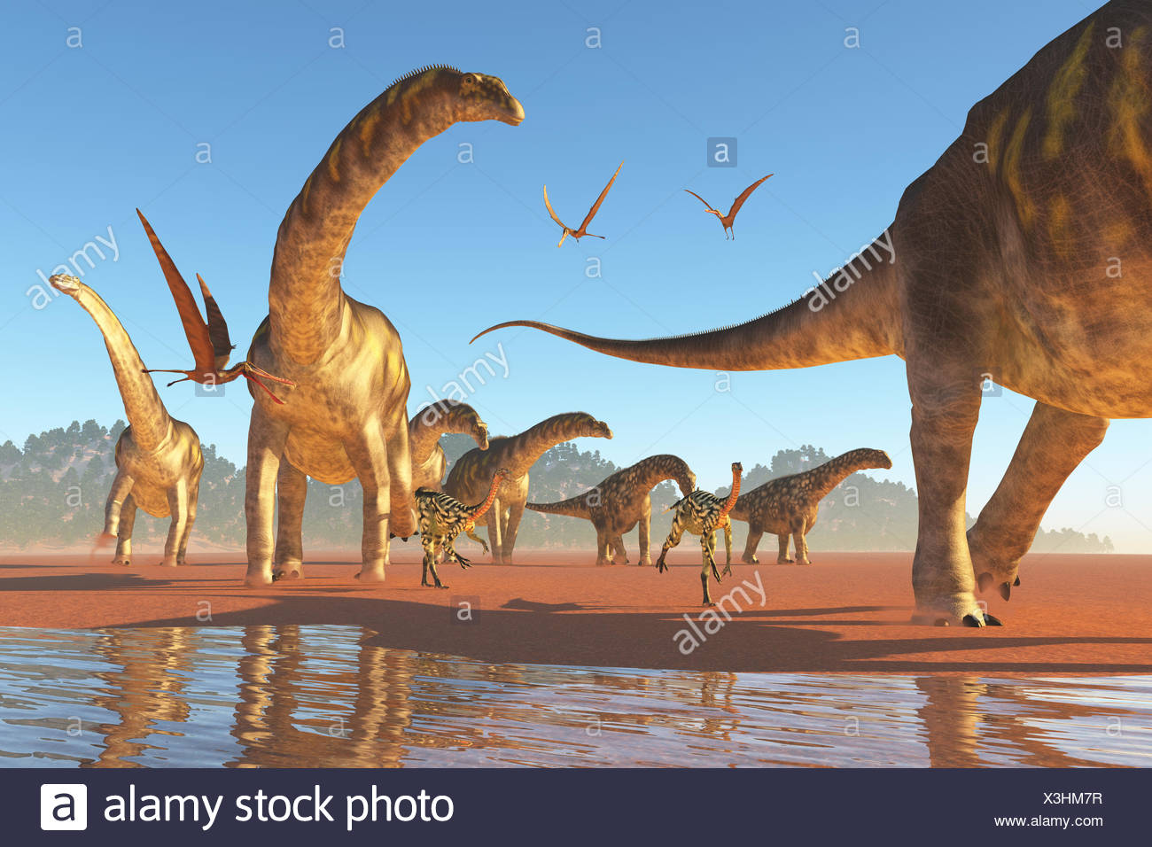 Argentinosaurus Stock Photos & Argentinosaurus Stock Images - Alamy