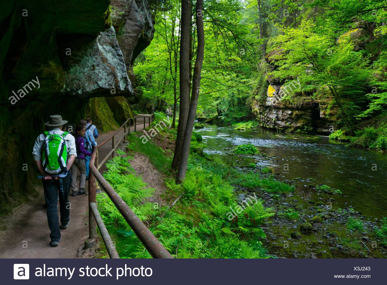 Kamenice Gorge High Resolution Stock Photography and Images - Alamy