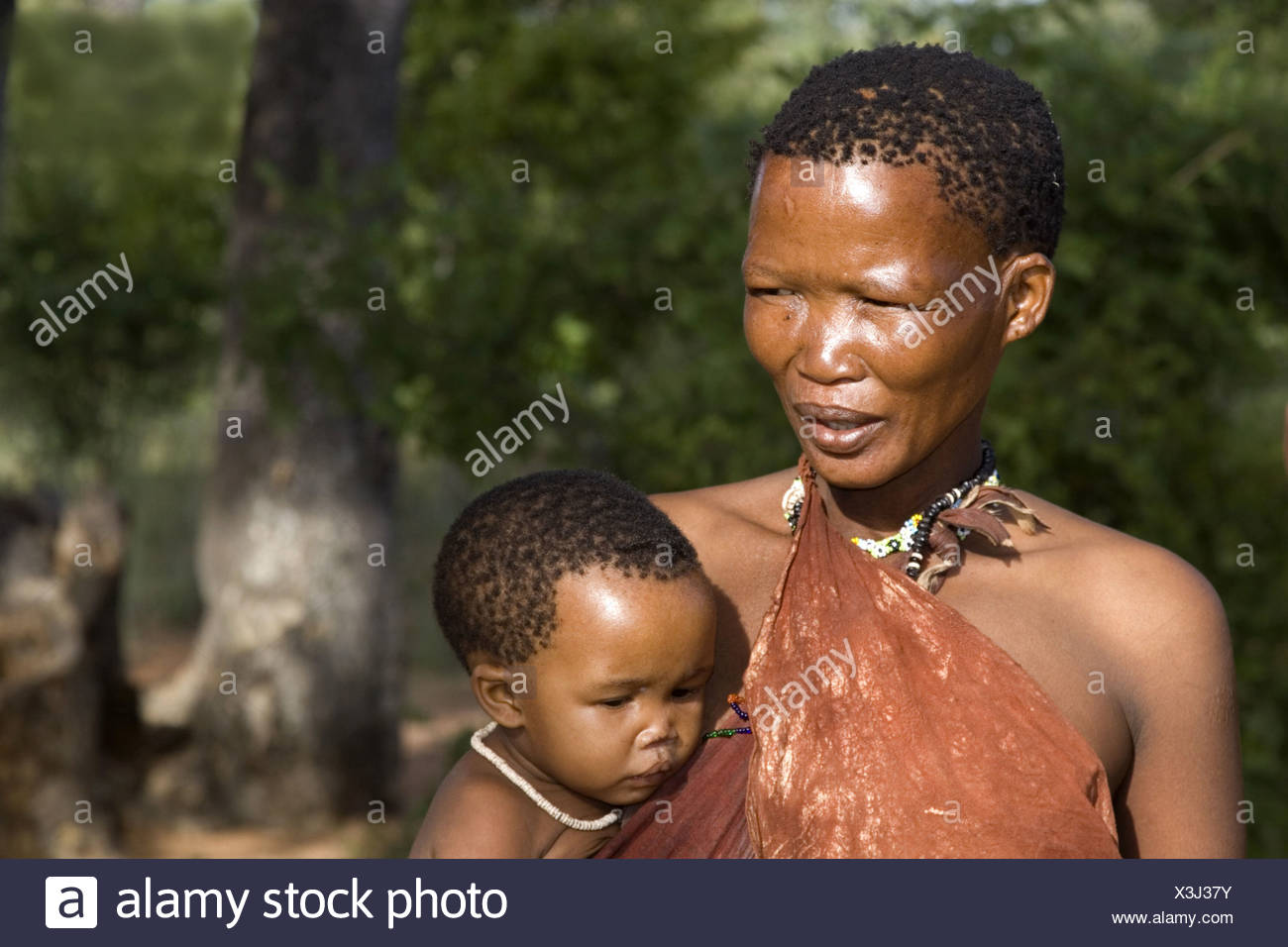 Bushman Mother With Baby Stock Photos & Bushman Mother With Baby Stock ...