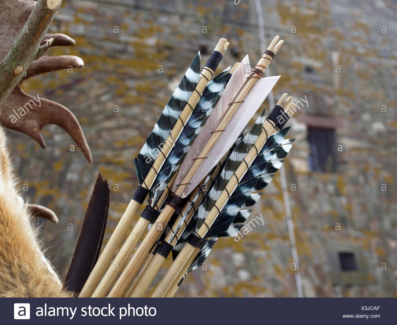 Medieval Hunting Wood High Resolution Stock Photography and Images - Alamy
