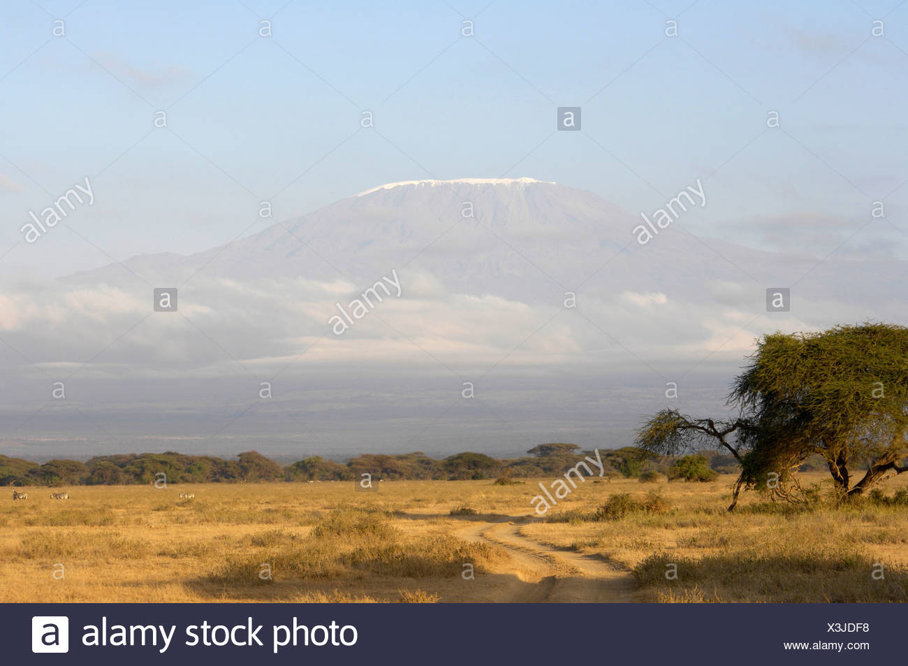 Kimana High Resolution Stock Photography and Images - Alamy