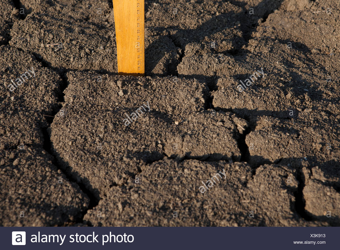 Clayground High Resolution Stock Photography and Images - Alamy