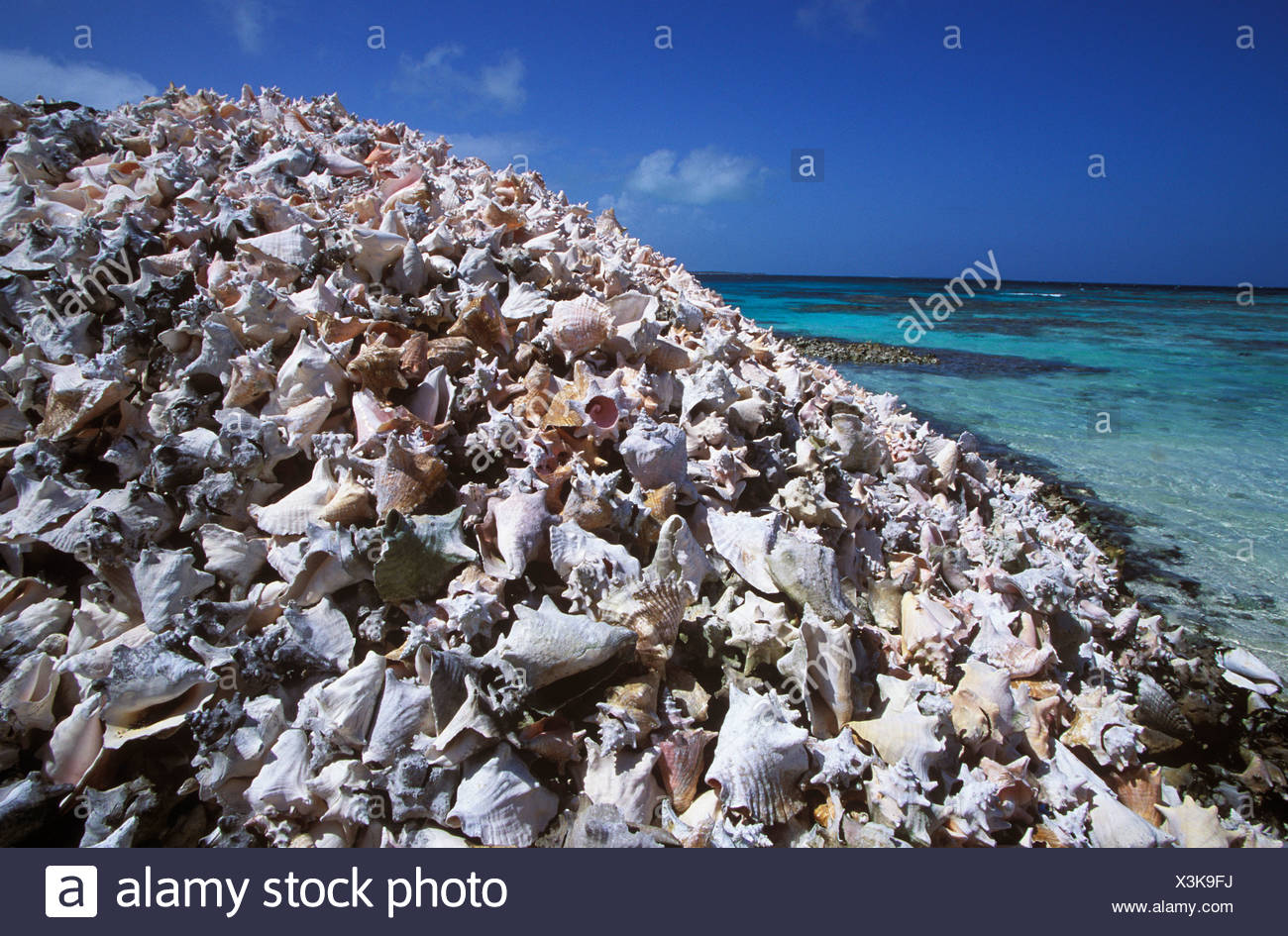 Waste Economy High Resolution Stock Photography and Images - Alamy