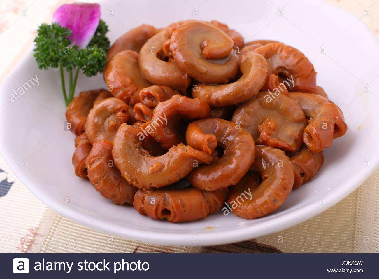 Intestines Stock Photos & Intestines Stock Images - Alamy