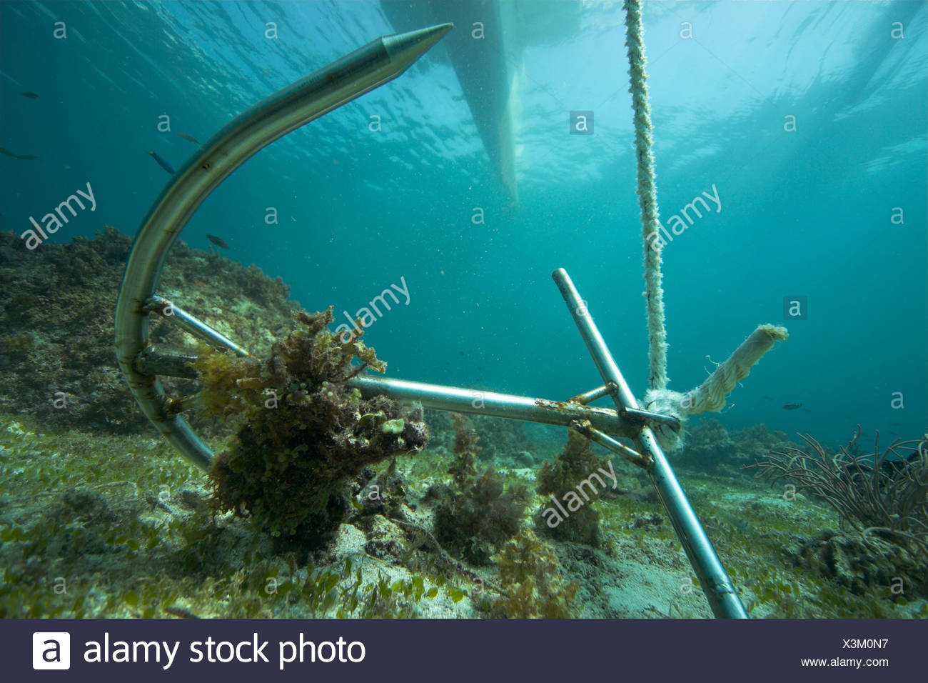 Anchor In Coral Reef Stock Photos & Anchor In Coral Reef Stock Images ...