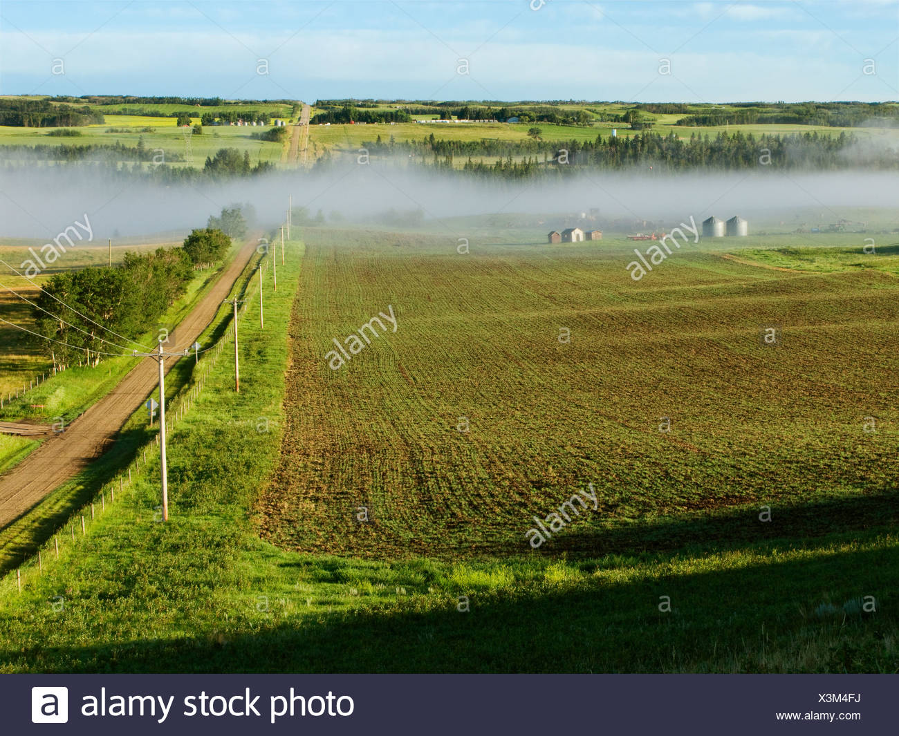 Cereal Farming High Resolution Stock Photography and Images - Alamy