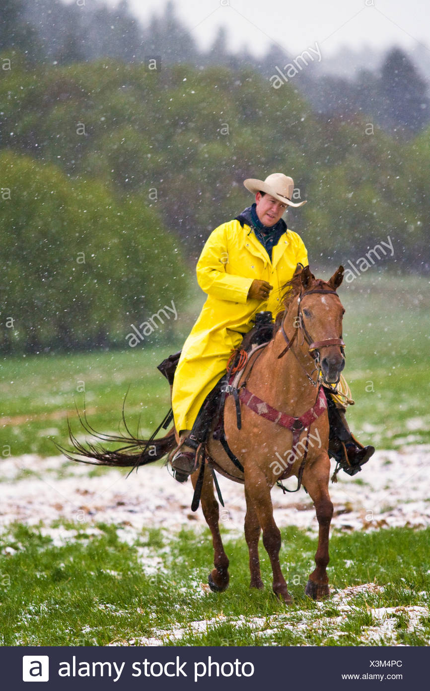 Cowboy Work High Resolution Stock Photography and Images - Alamy