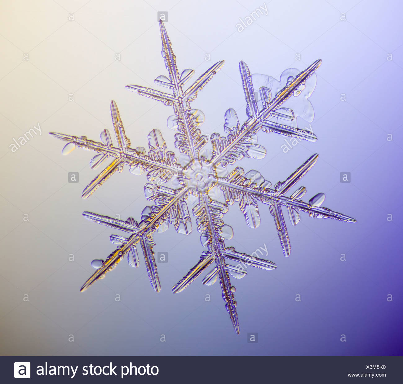 Ice Crystals Microscope High Resolution Stock Photography and Images ...