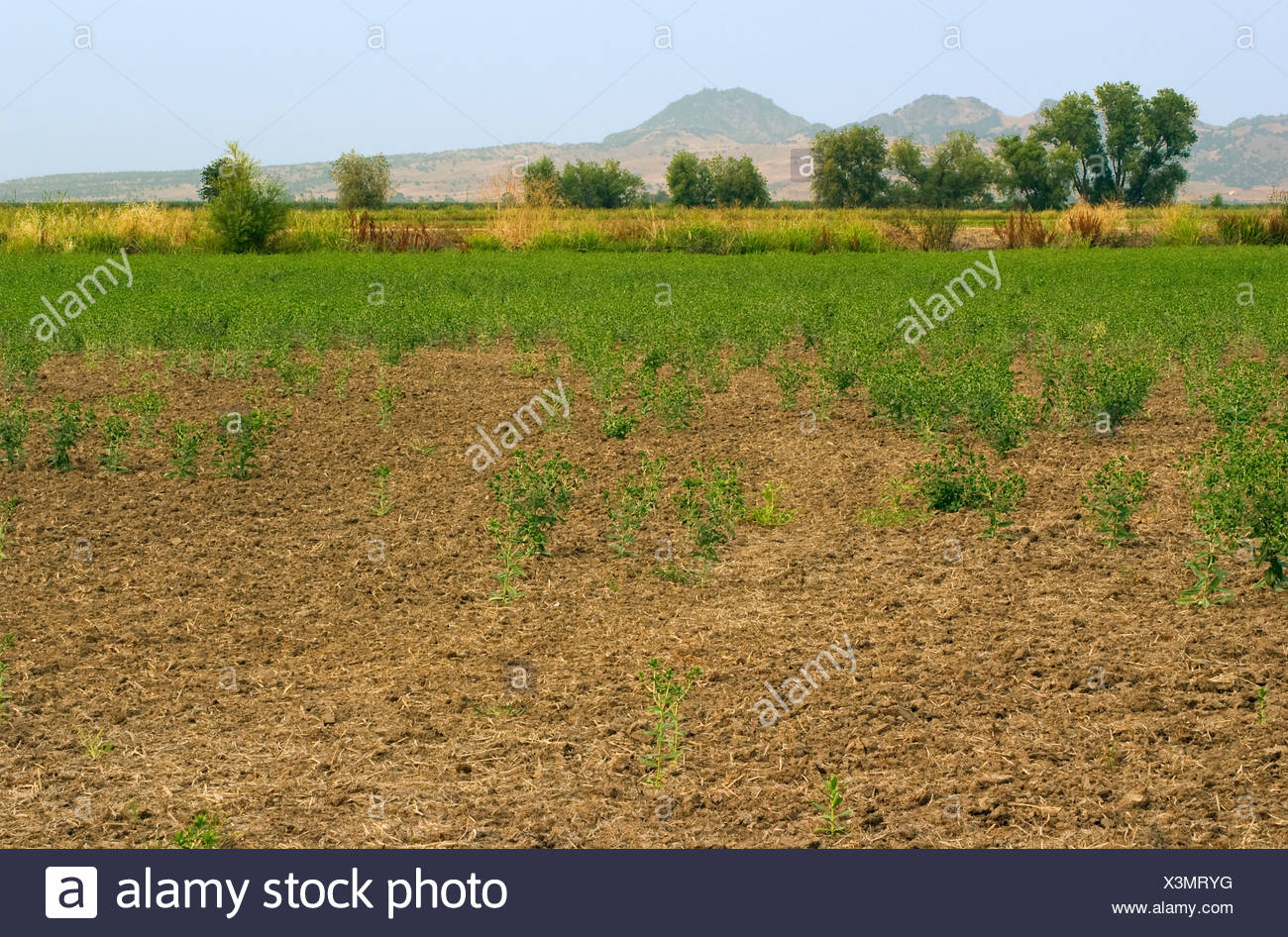 Dryland High Resolution Stock Photography and Images - Alamy