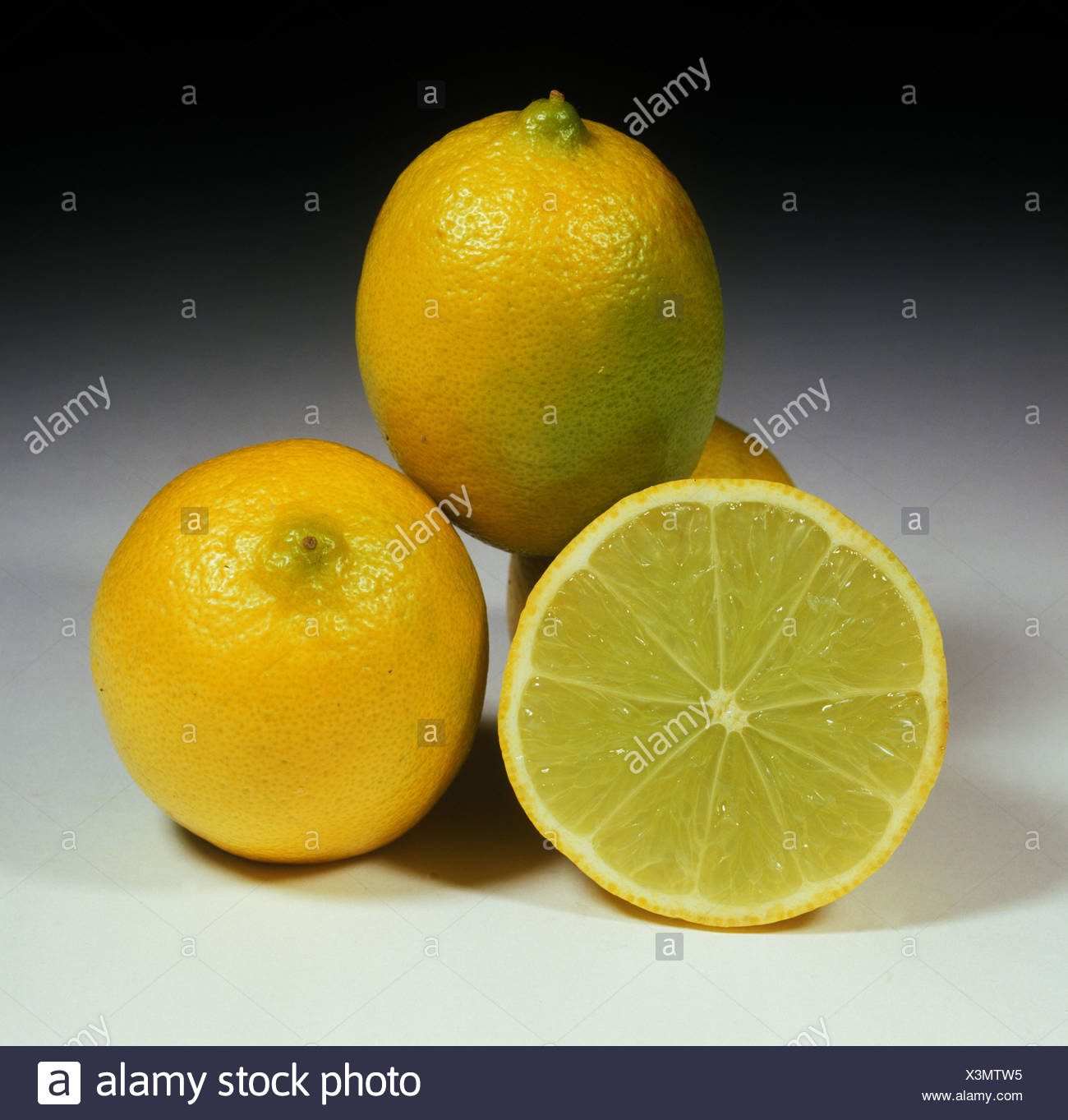 Lime Fruit Citrus Aurantifolia High Resolution Stock Photography and ...