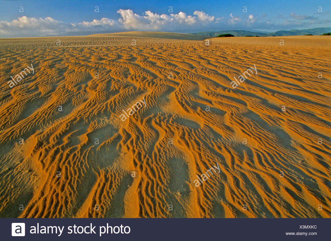 Medanos De Coro High Resolution Stock Photography and Images - Alamy