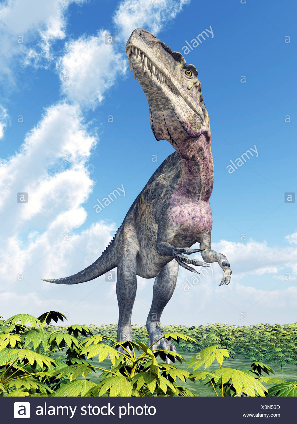 Acrocanthosaurus High Resolution Stock Photography and Images - Alamy