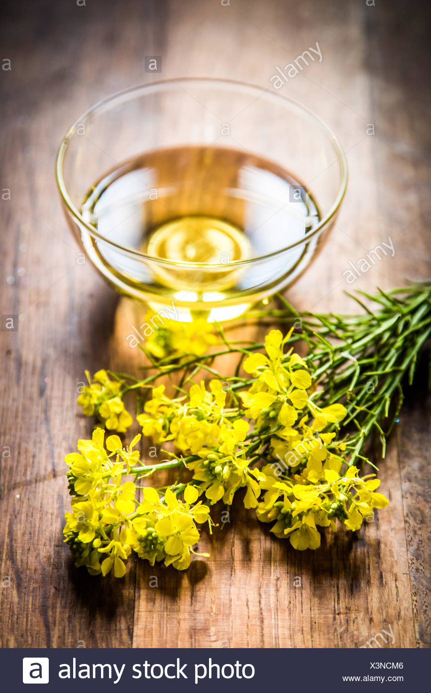 Colza Oil High Resolution Stock Photography and Images - Alamy