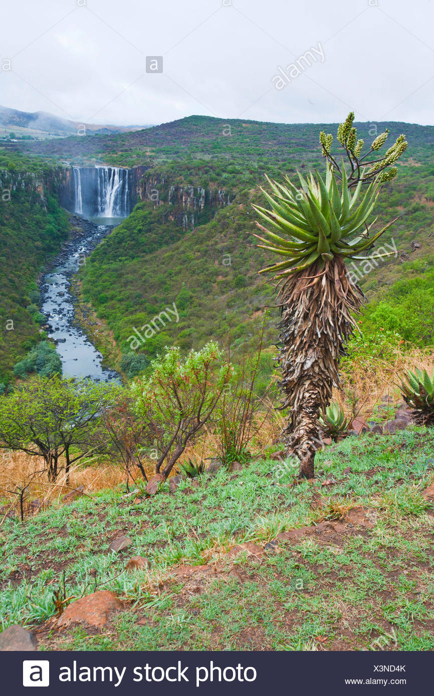 Mooi River High Resolution Stock Photography and Images - Alamy