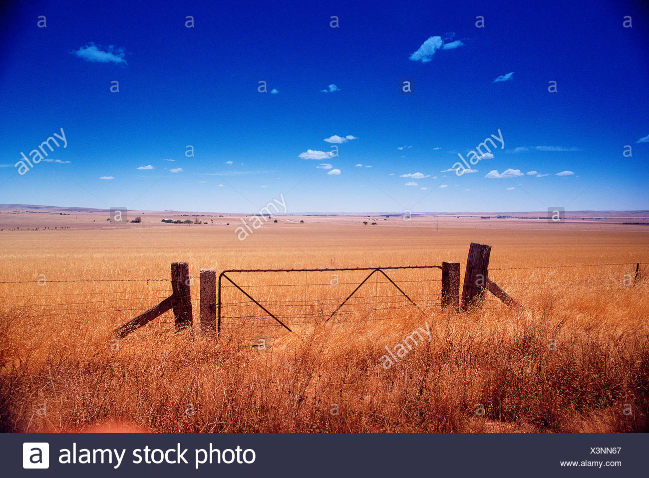 Grassland Australia High Resolution Stock Photography and Images - Alamy