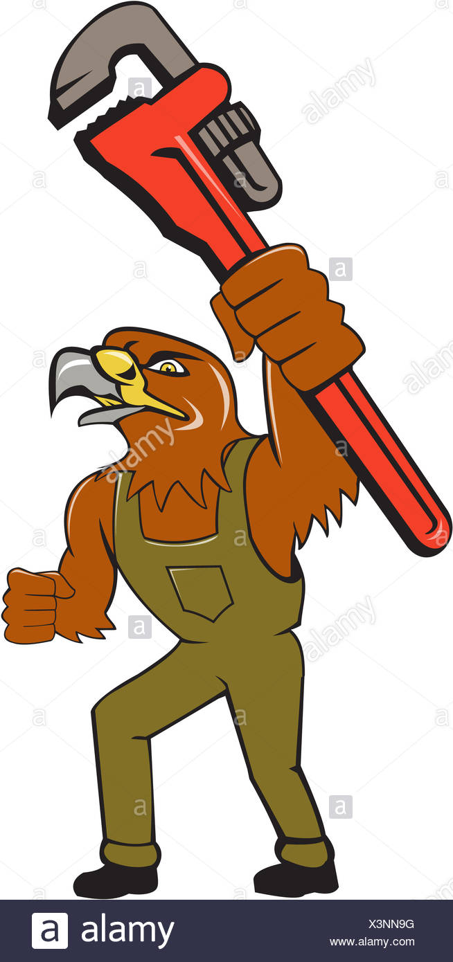 Cartoon Hawk High Resolution Stock Photography and Images - Alamy