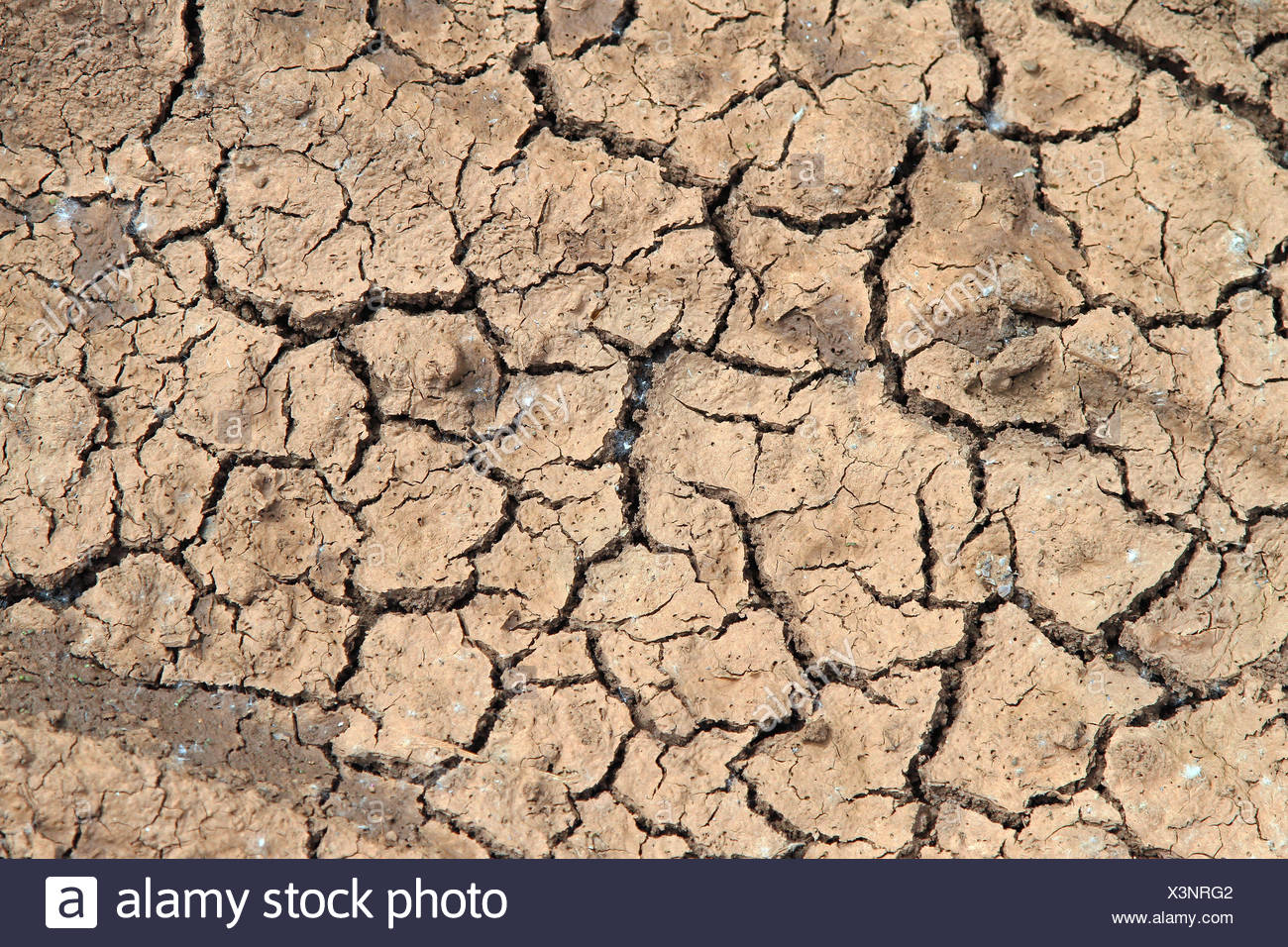 Effects Of Drought High Resolution Stock Photography and Images - Alamy