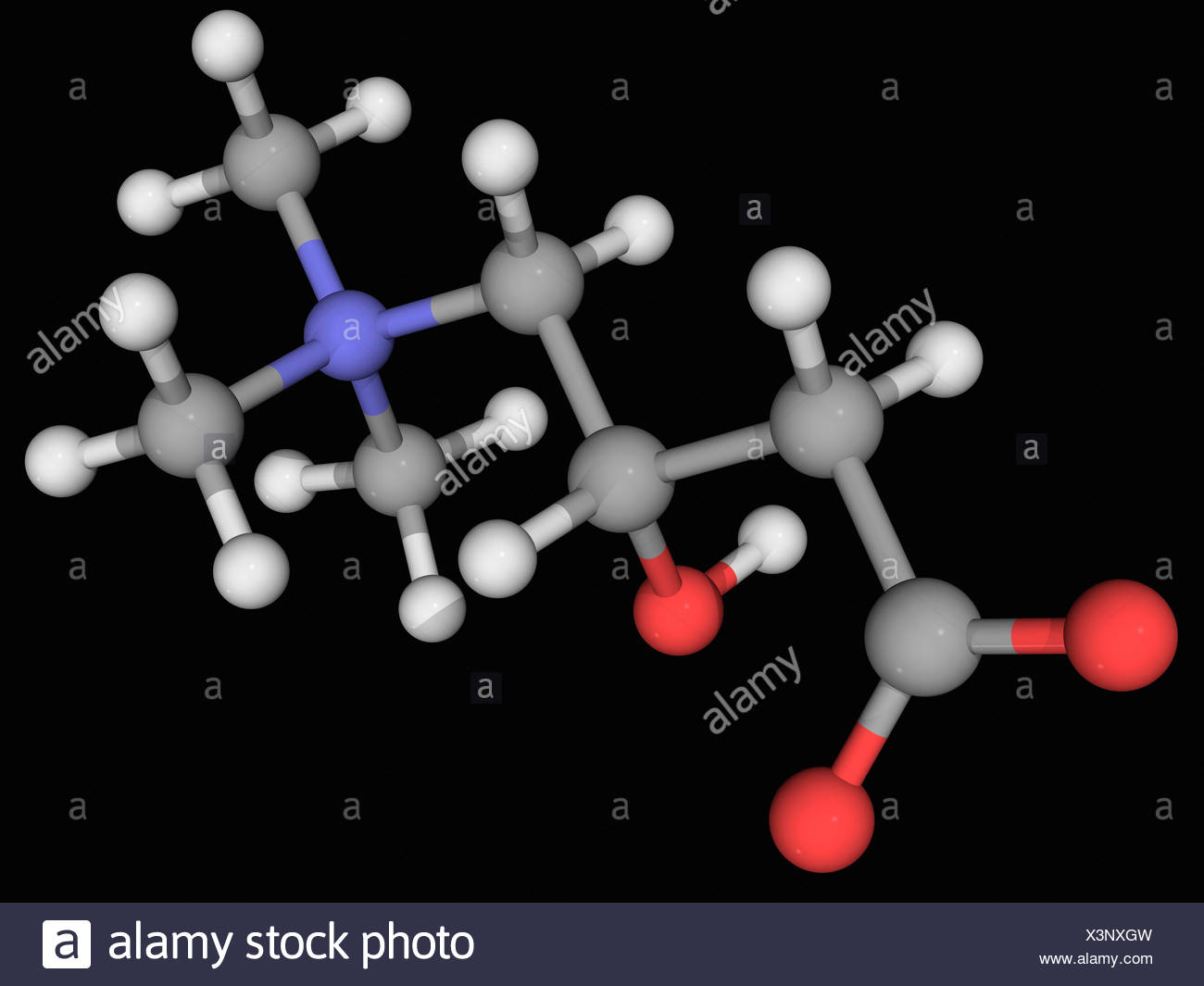 Carnitine High Resolution Stock Photography and Images - Alamy