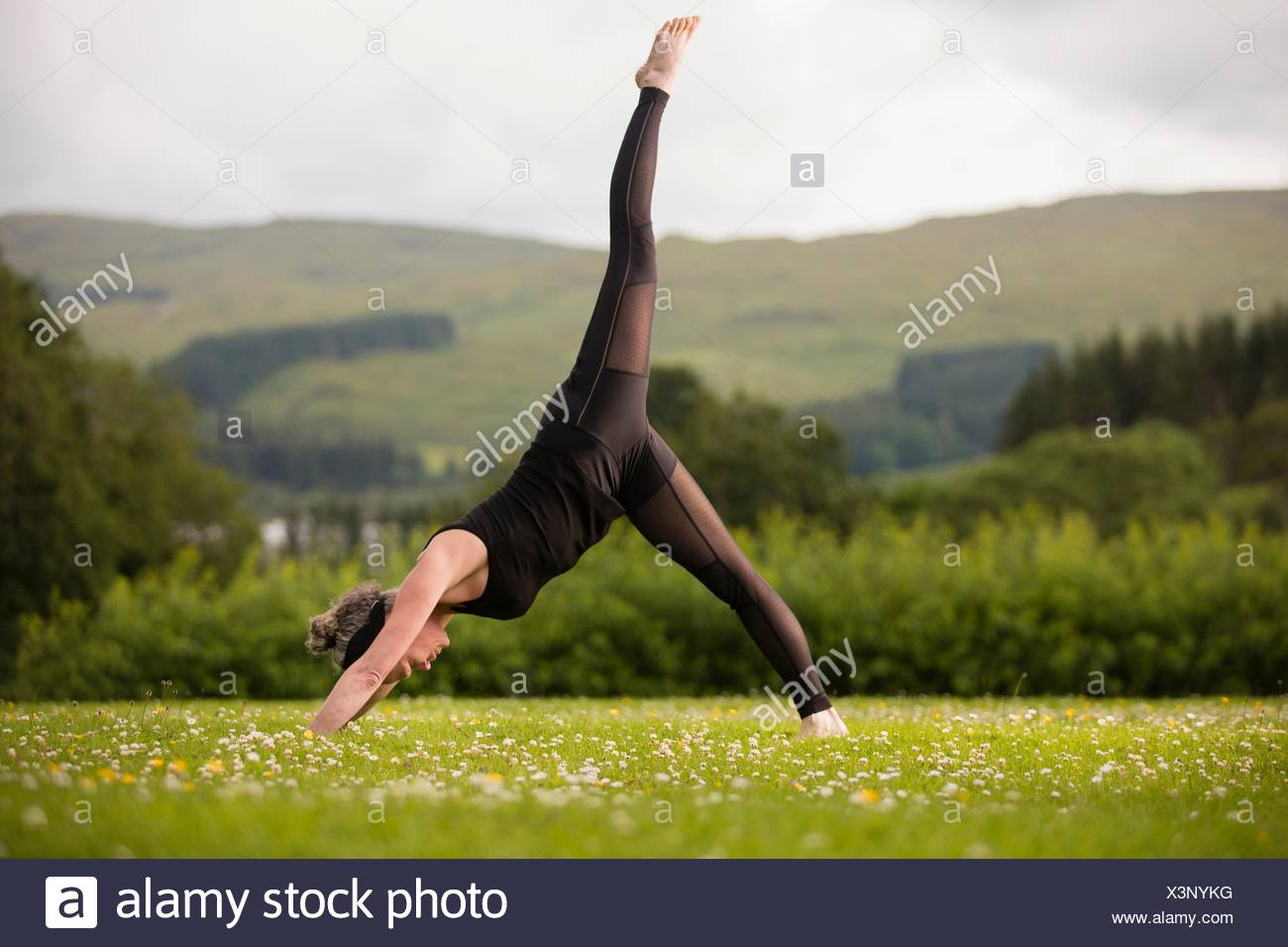 Lift Leg High Resolution Stock Photography and Images - Alamy