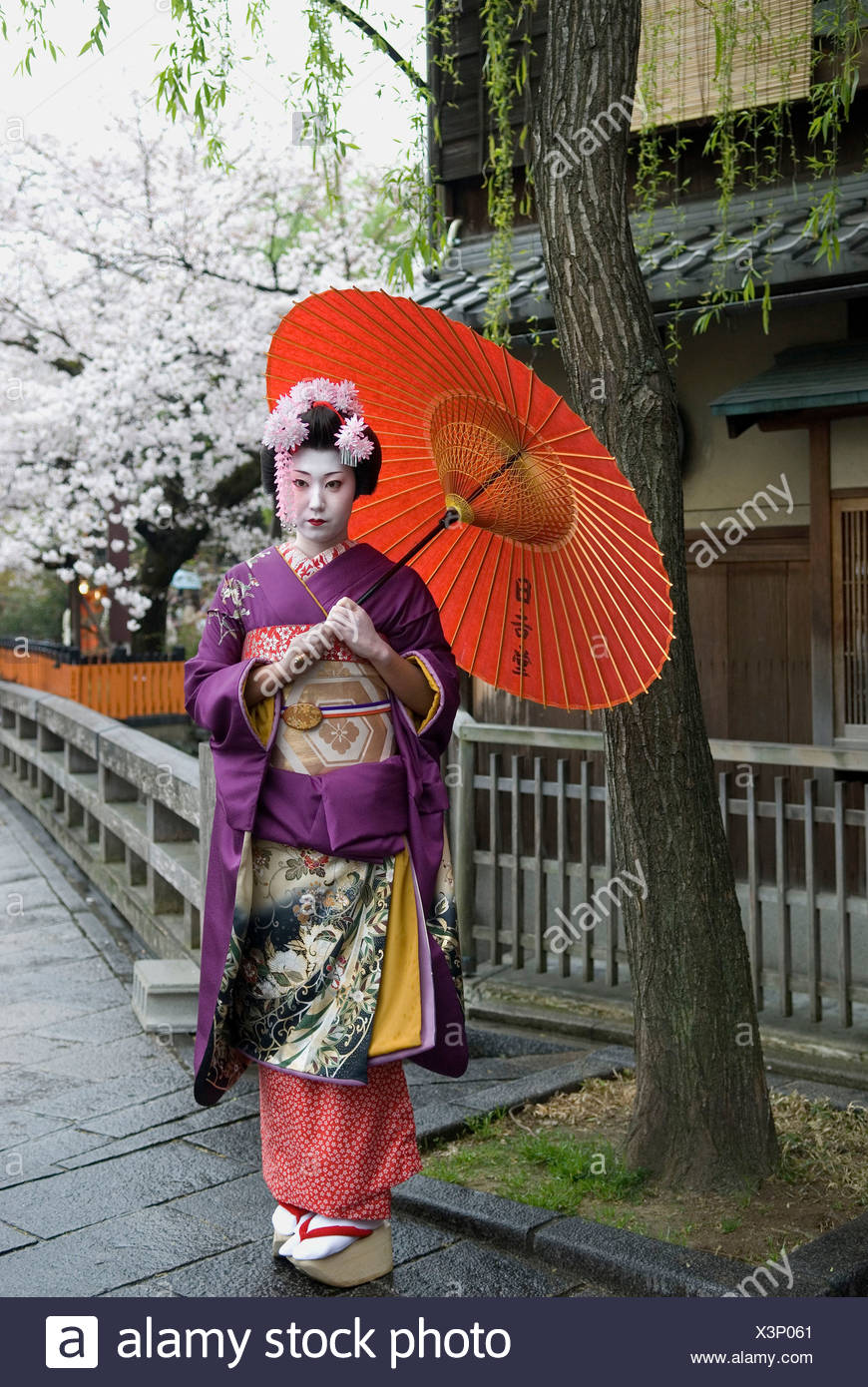 Geisha Parasol High Resolution Stock Photography and Images - Alamy