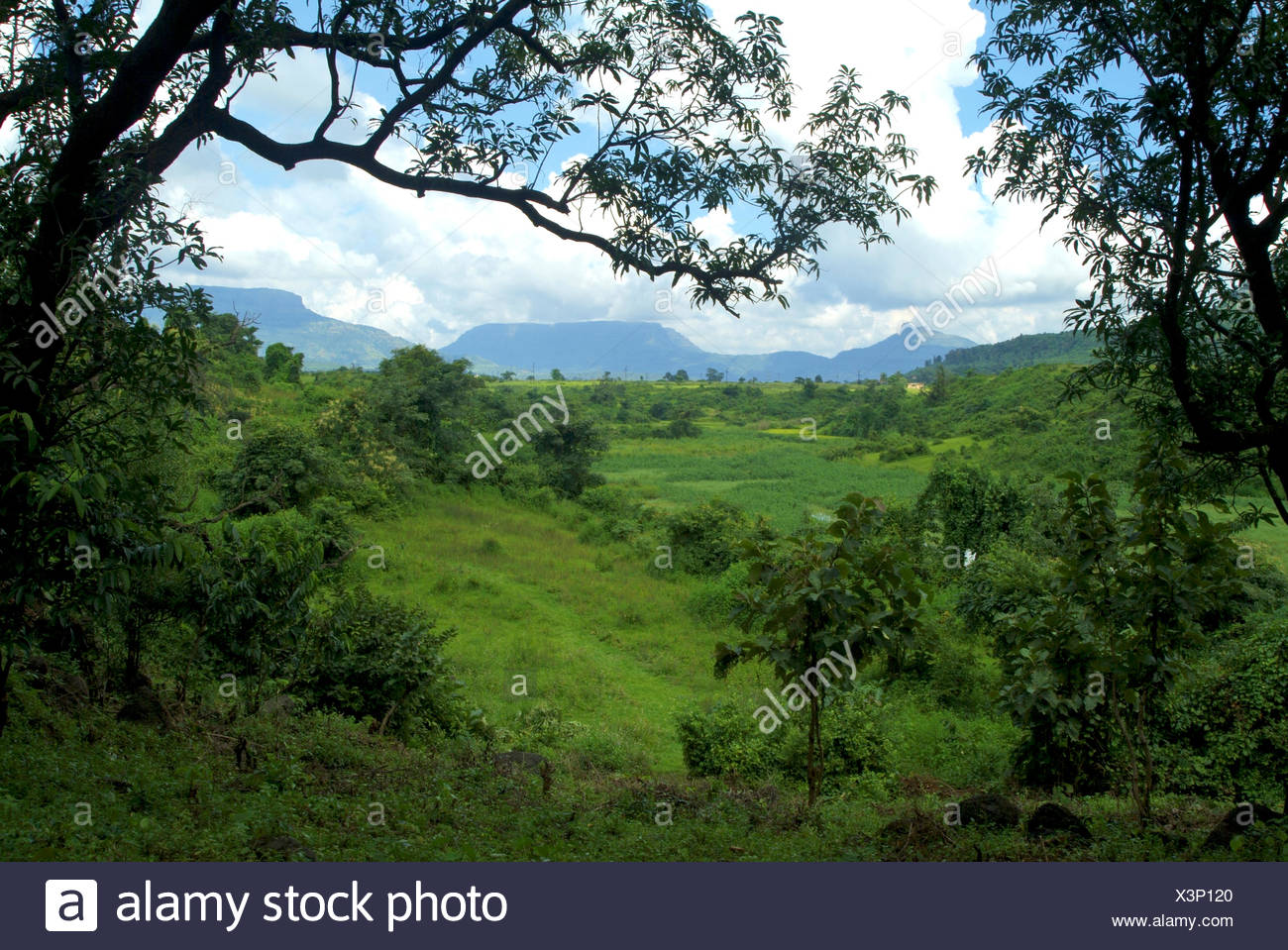 Maharashtra Landscape Stock Photos & Maharashtra Landscape Stock Images ...