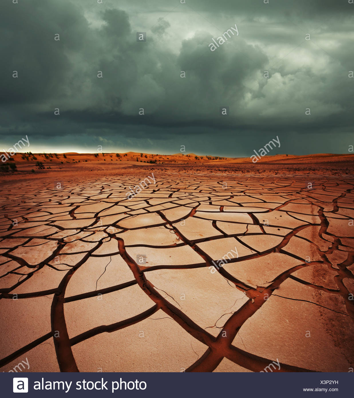 Infertile Land High Resolution Stock Photography and Images - Alamy
