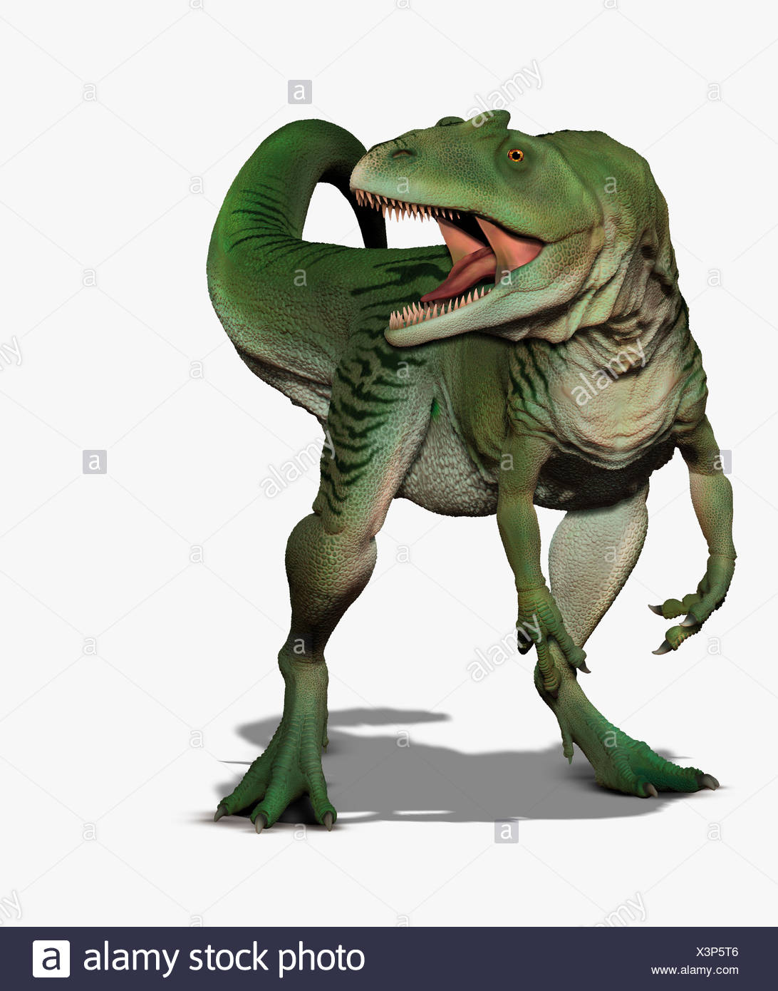 Allosaurus Standing High Resolution Stock Photography and Images - Alamy