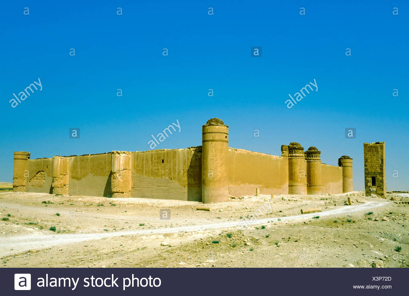 Qasr Hisham High Resolution Stock Photography and Images - Alamy