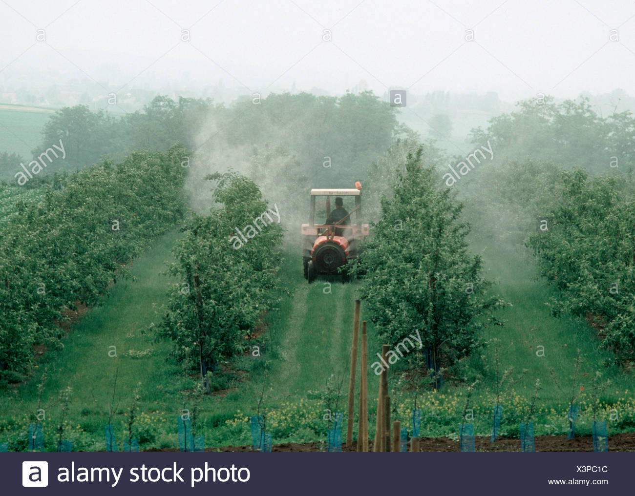 Spraying Apple Trees Stock Photos & Spraying Apple Trees Stock Images ...