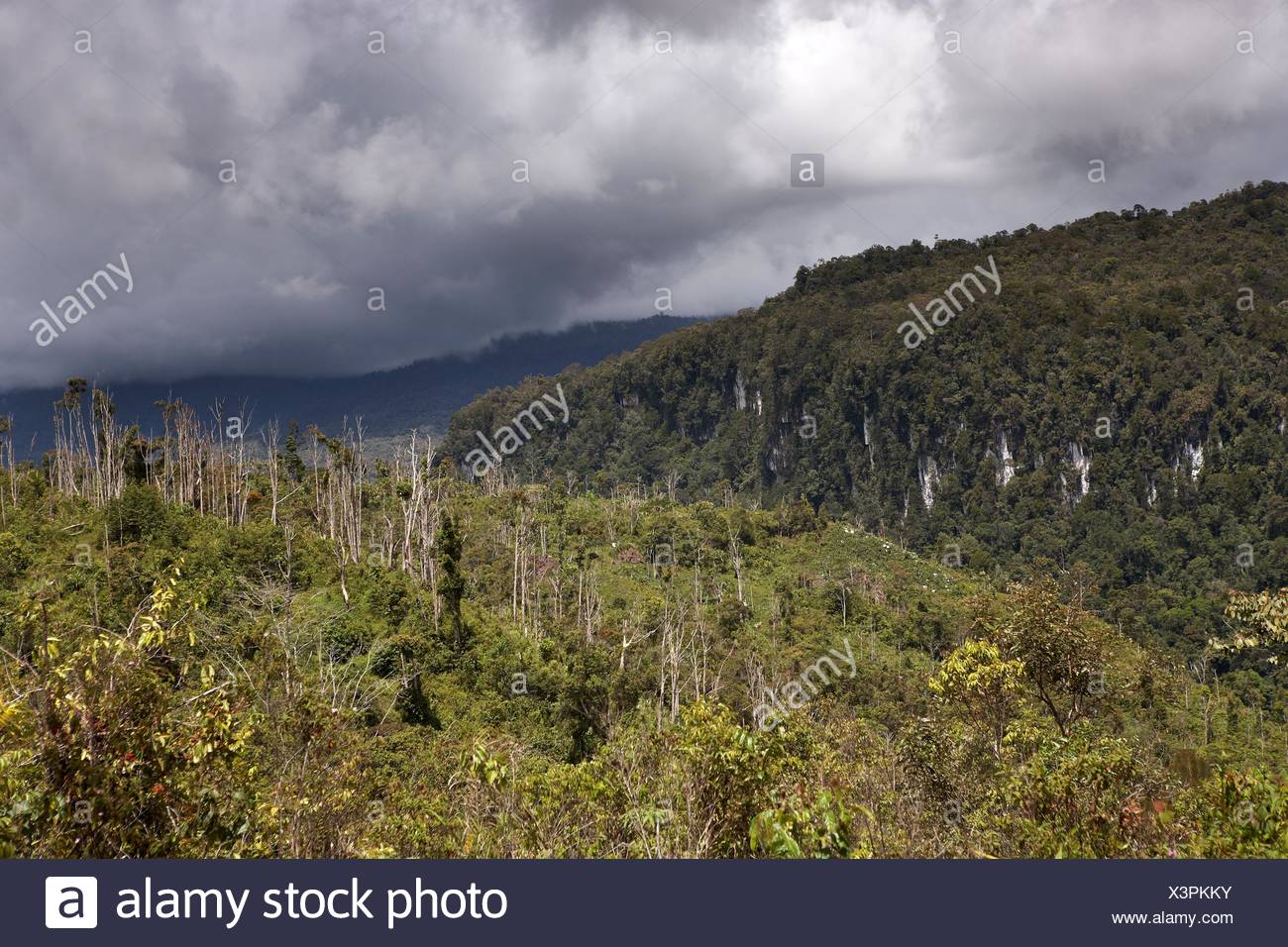 Irian Jaya Mountains High Resolution Stock Photography and Images - Alamy