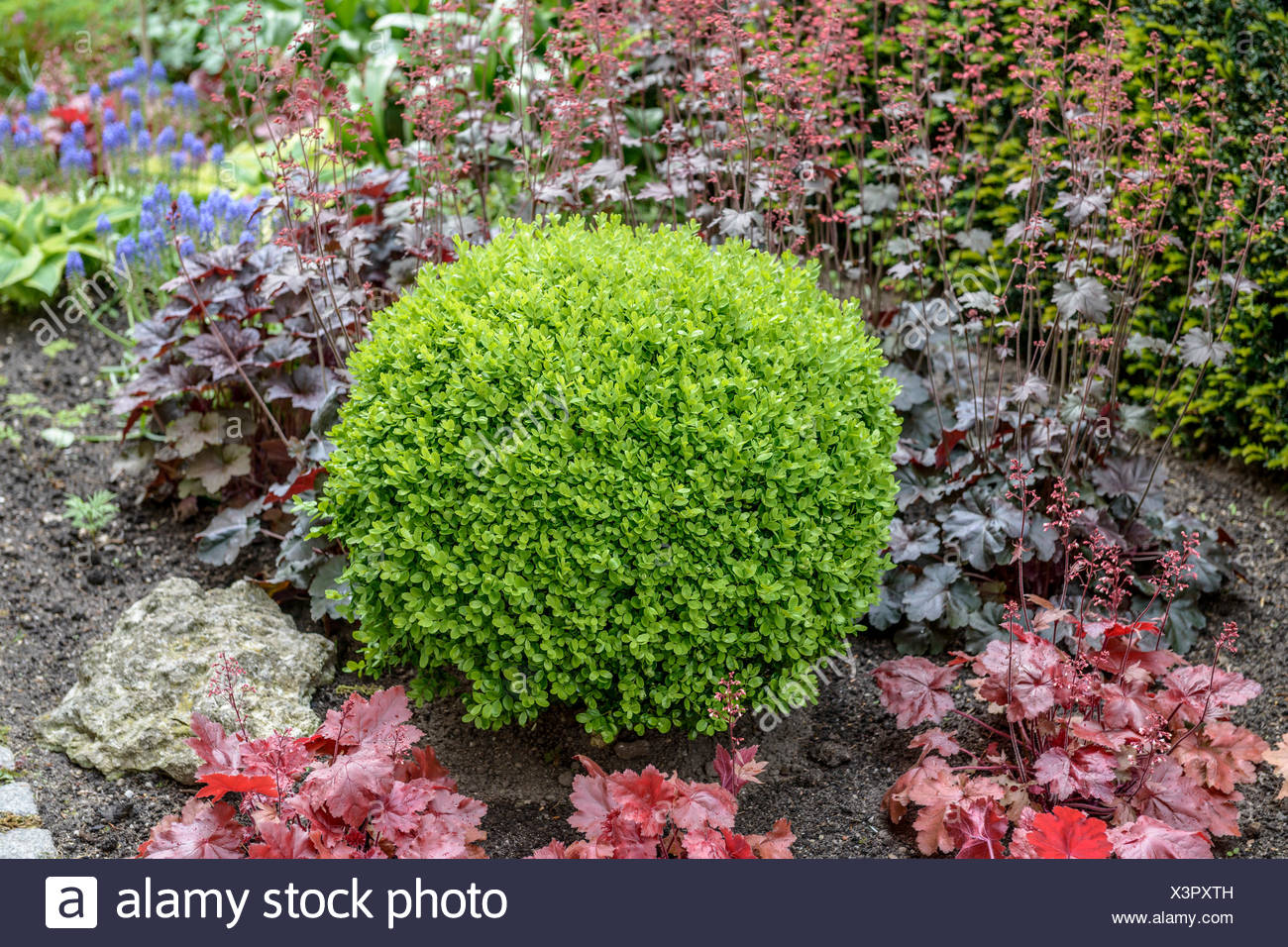Common Box Ball High Resolution Stock Photography and Images - Alamy