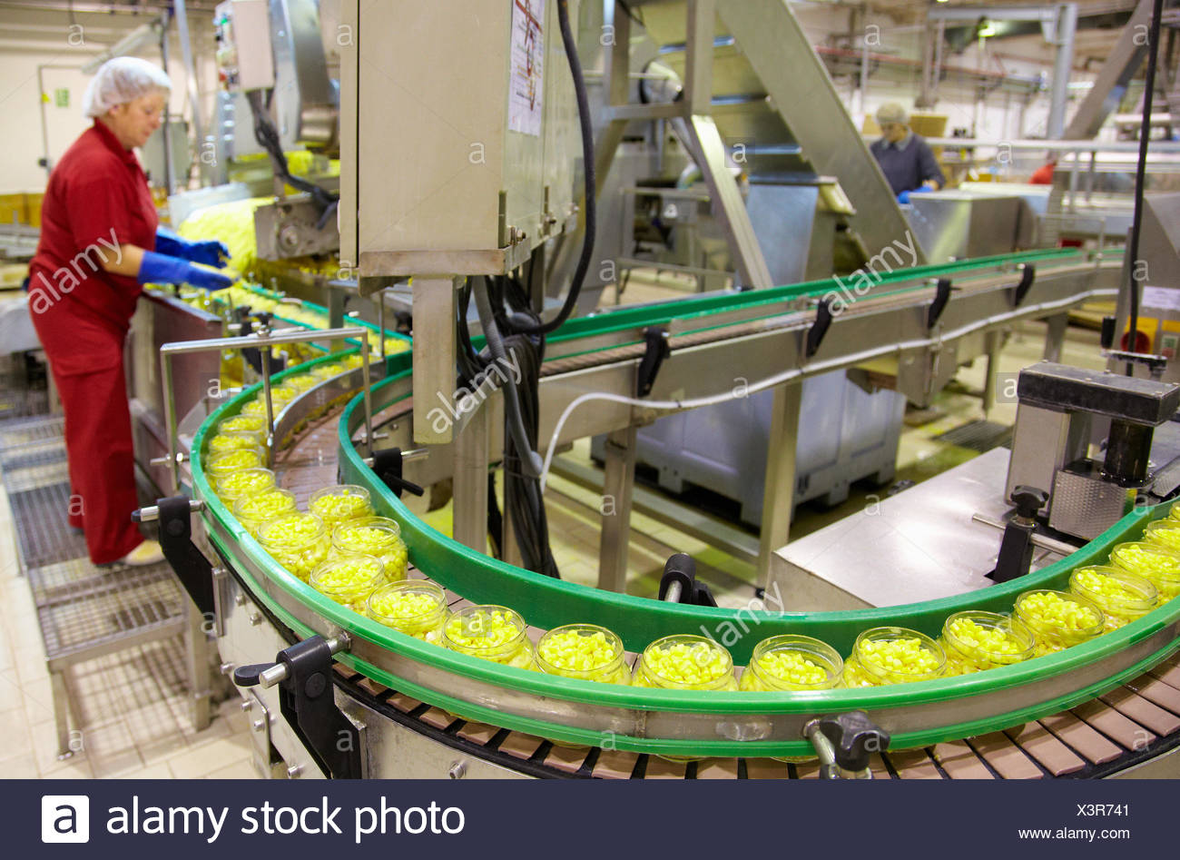 Food Production Line Vegetables High Resolution Stock Photography and ...