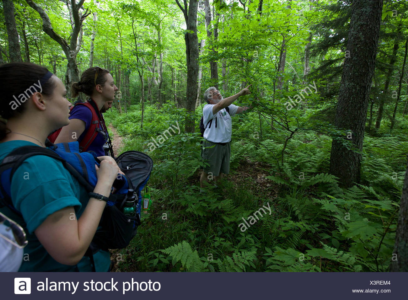 Professor Of Botany Stock Photos & Professor Of Botany Stock Images - Alamy